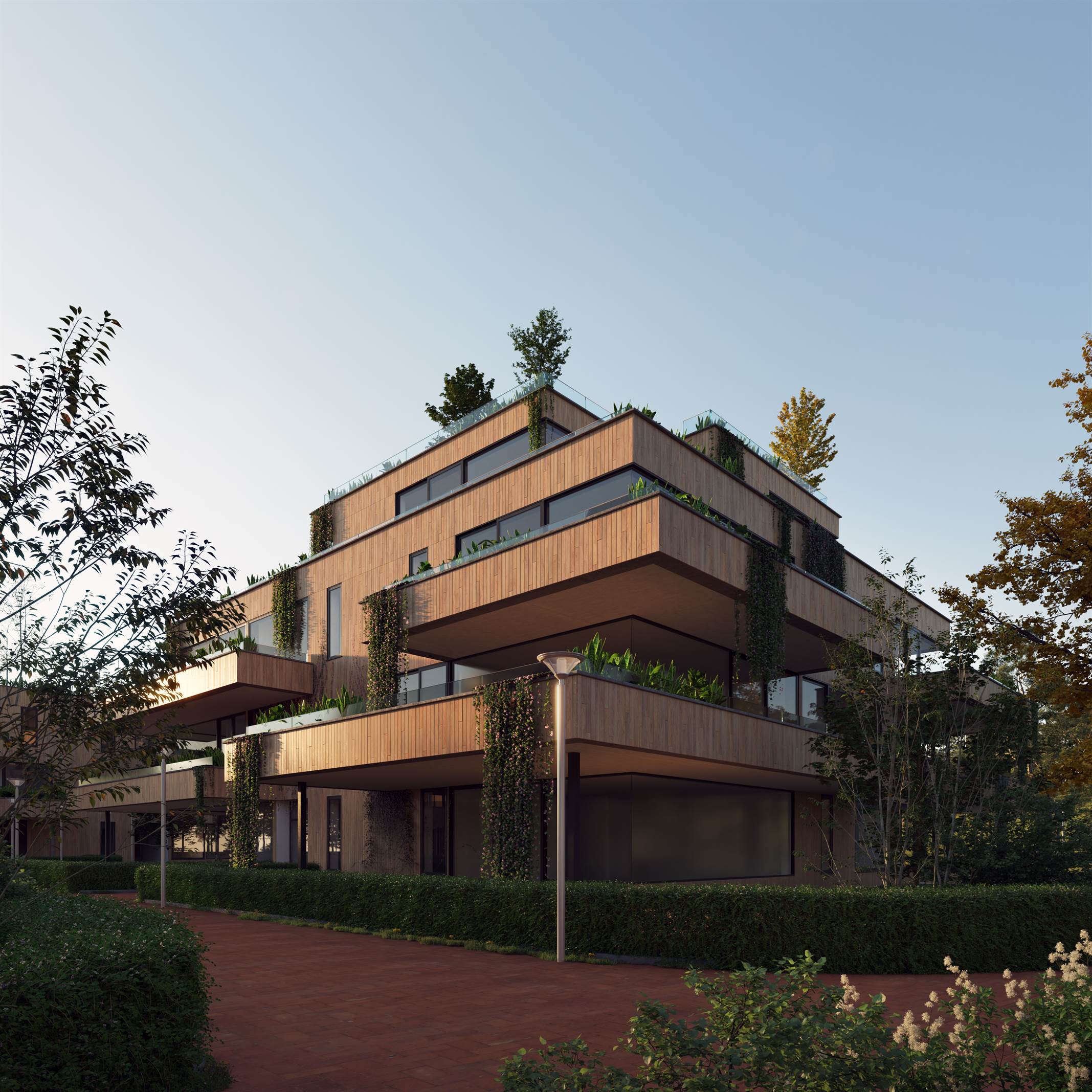 our projects | Vnoox Studio